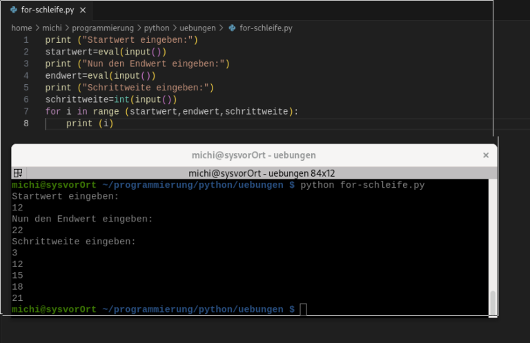 Python Grundbefehle – Programmieren lernen