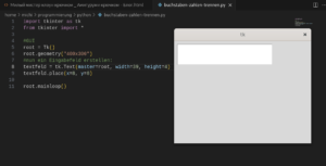 Python tkinter Eingabefelder – Programmieren lernen