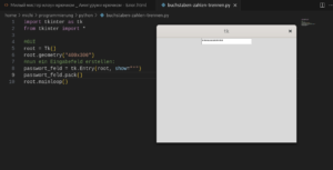 Python tkinter Eingabefelder – Programmieren lernen