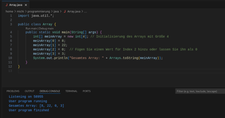 Java Array Programmieren Lernen 