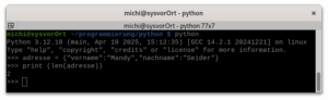 Python Daten speichern – Programmieren lernen