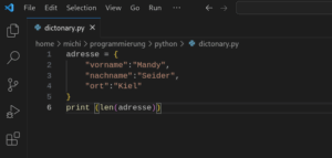 Python Daten speichern – Programmieren lernen
